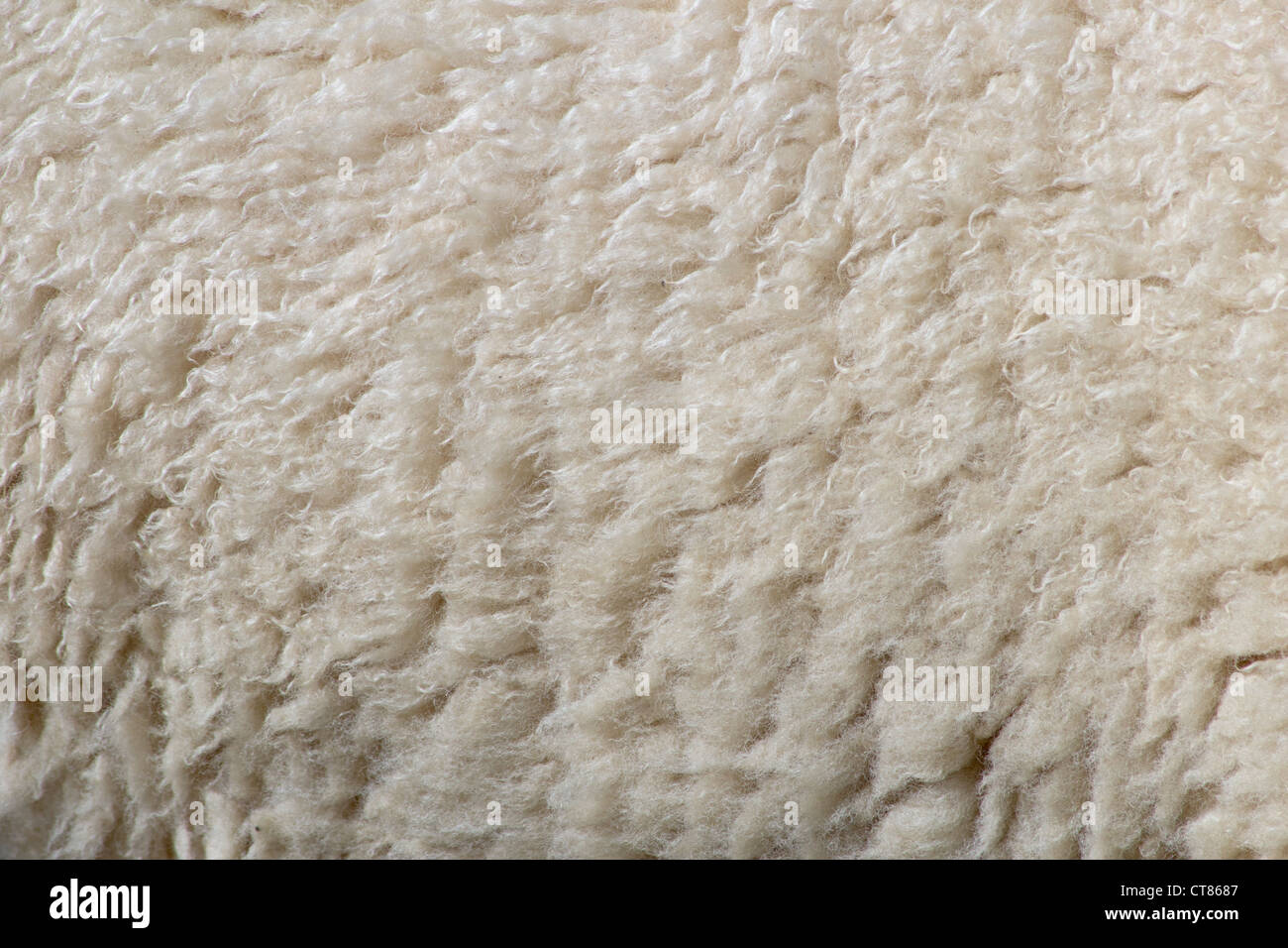 Sheep wool curly hi-res stock photography and images - Alamy