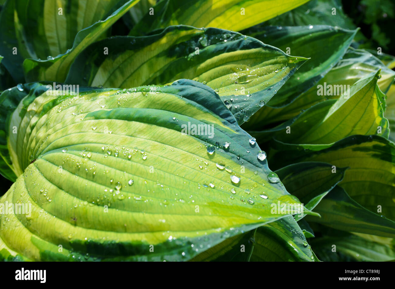 Sunlight glinting water hi-res stock photography and images - Alamy