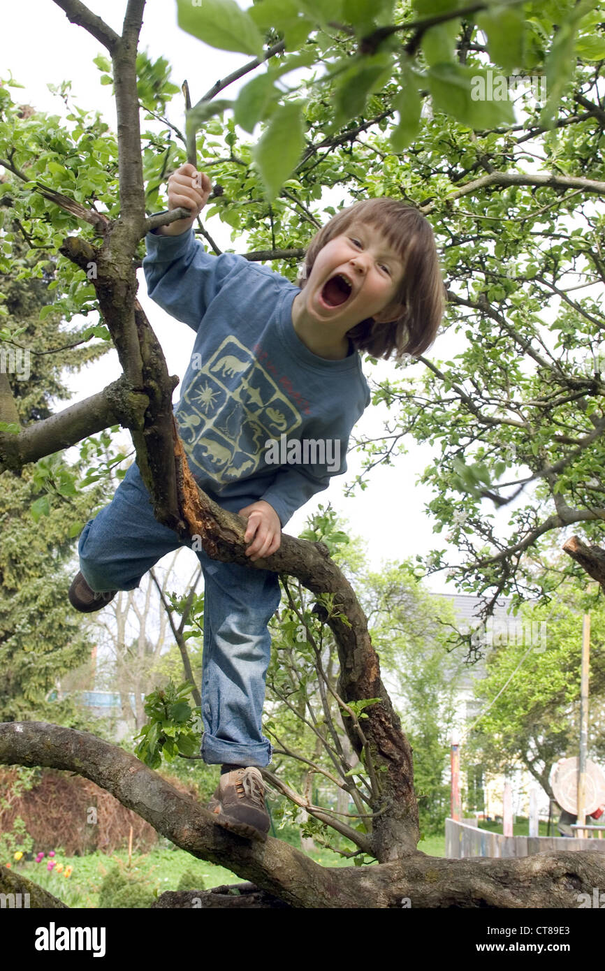 A child climbs a tree Stock Photo - Alamy