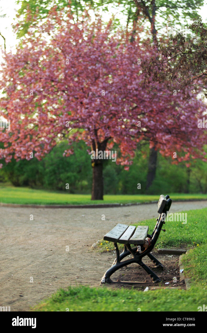 Dresden, symbol Photo park Stock Photo - Alamy