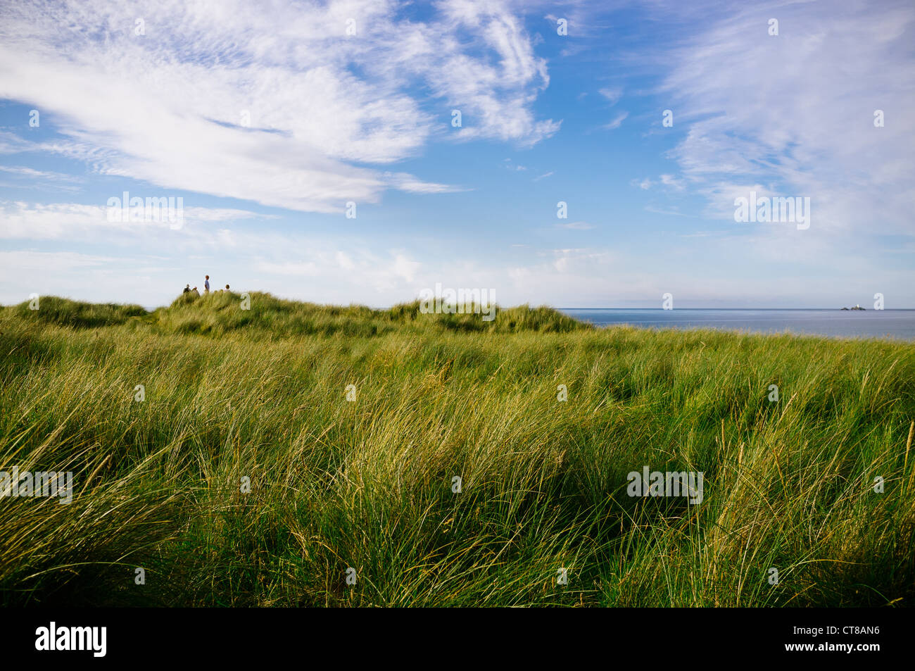 Porthkidney beach and sand dunes, Lelant, Cornwall Stock Photo - Alamy
