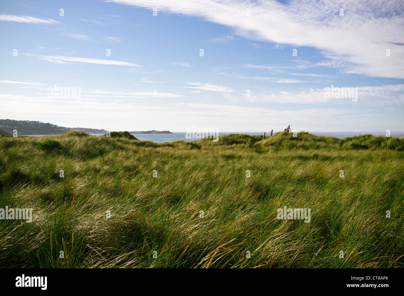 Porthkidney beach and sand dunes, Lelant, Cornwall Stock Photo - Alamy