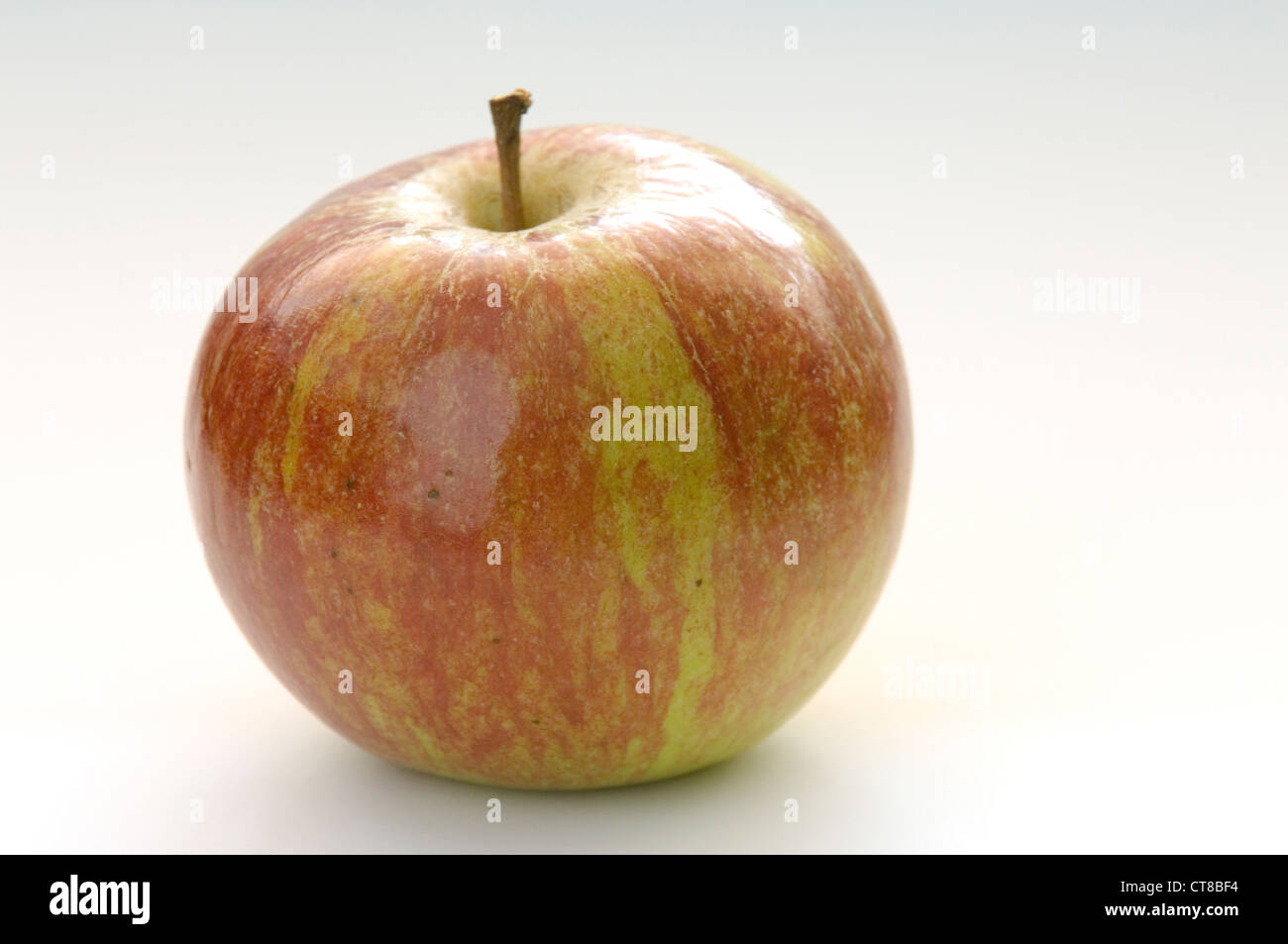 Single apple fruit on white background Stock Photo - Alamy