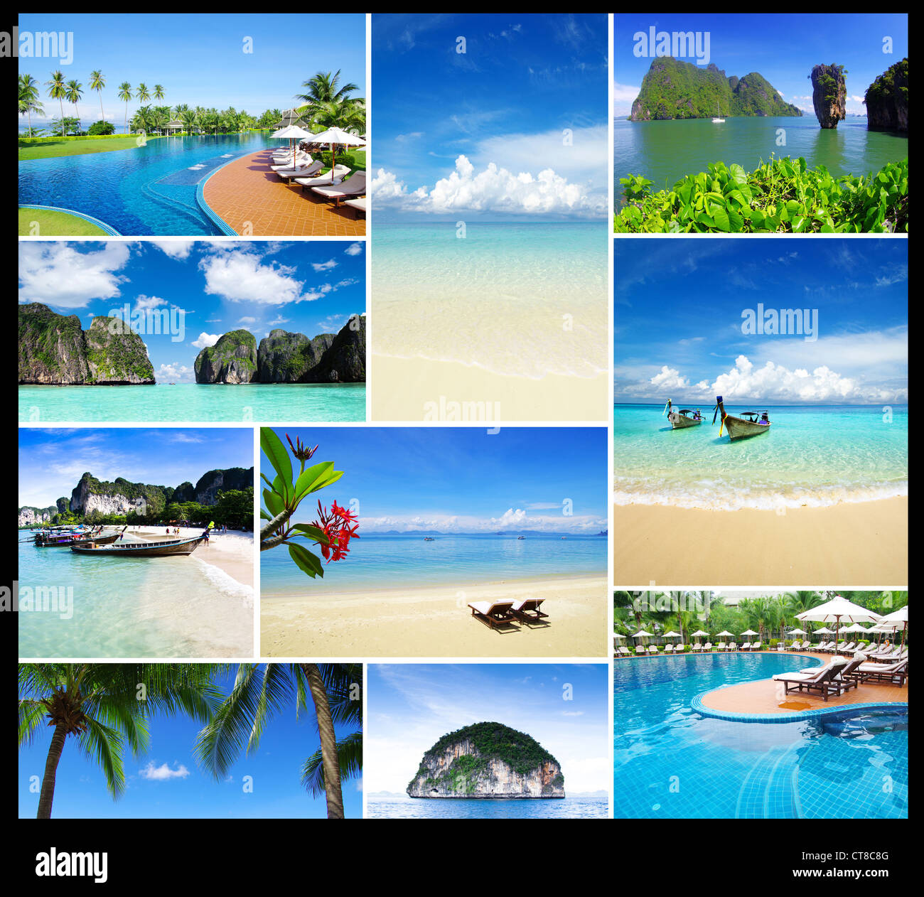 1920x1080 Tropical Collage