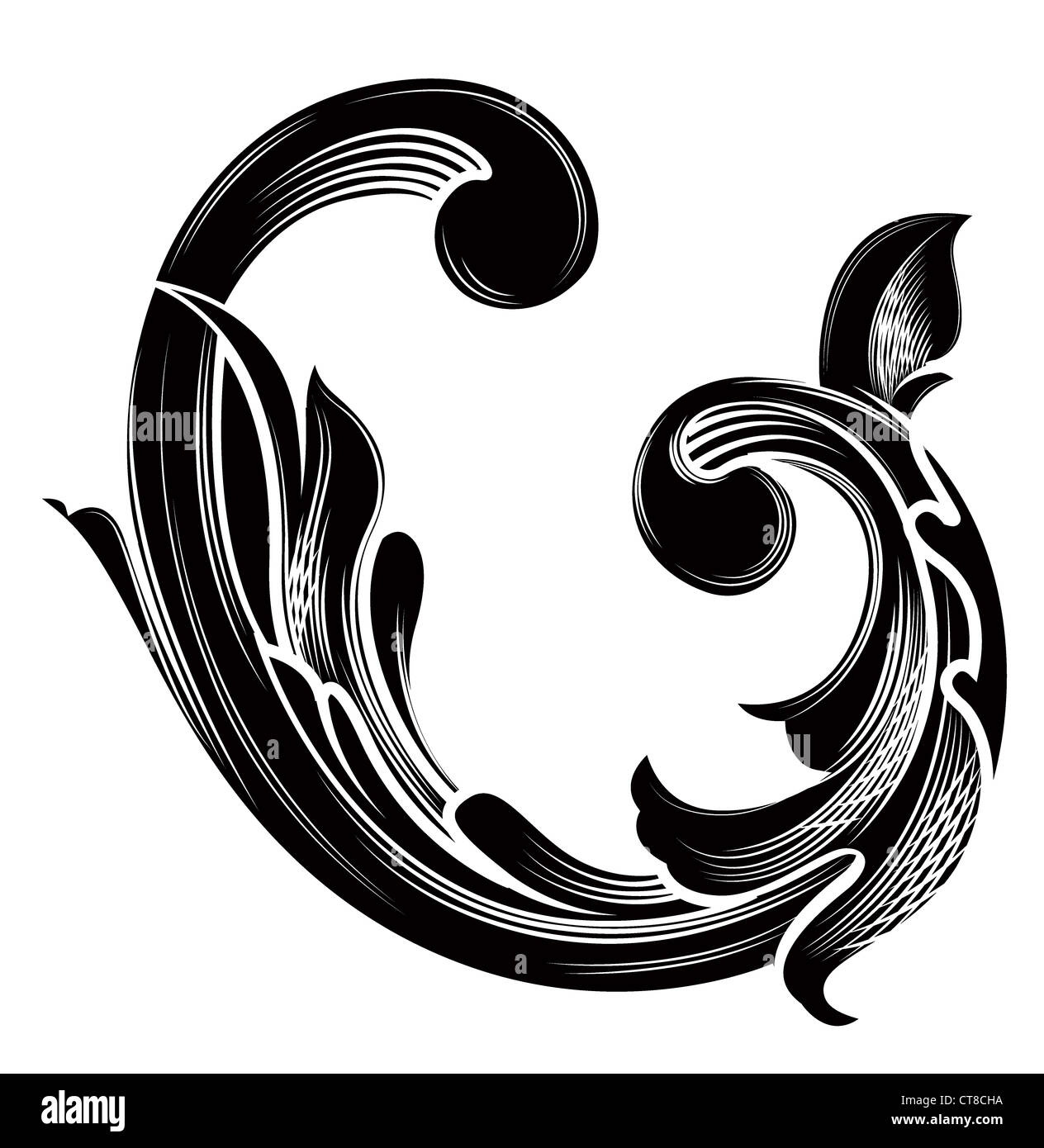 Engraved floral hi-res stock photography and images - Alamy