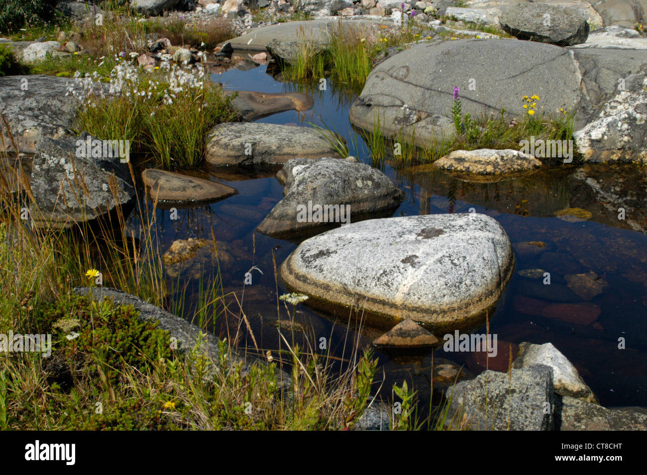 Finland - quiet waters Stock Photo - Alamy
