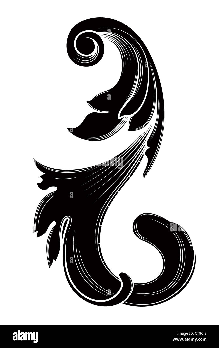 Engraved floral hi-res stock photography and images - Alamy