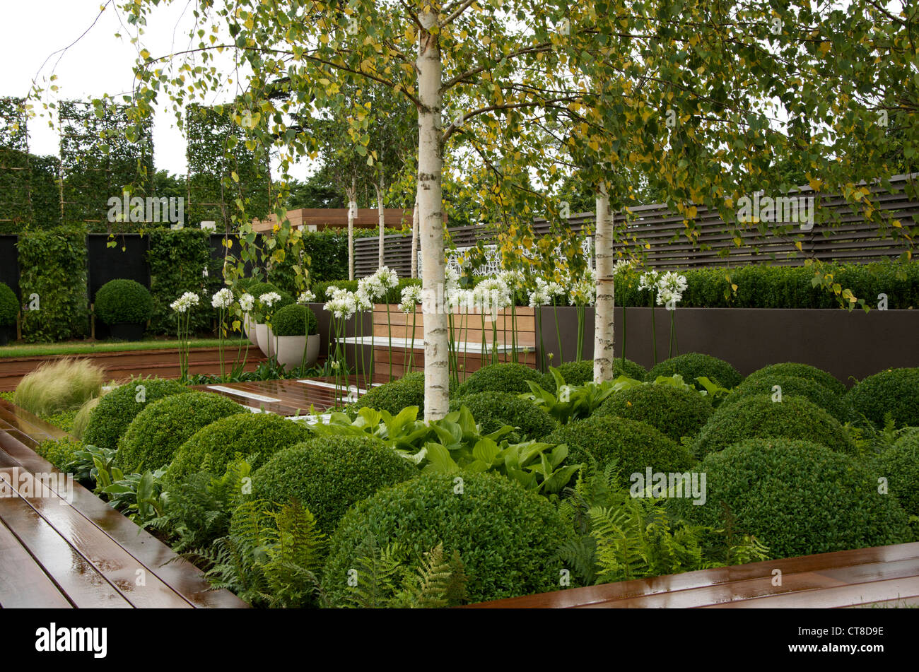 The Contemporary Contemplation Garden designed by OneAbode at RHS ...