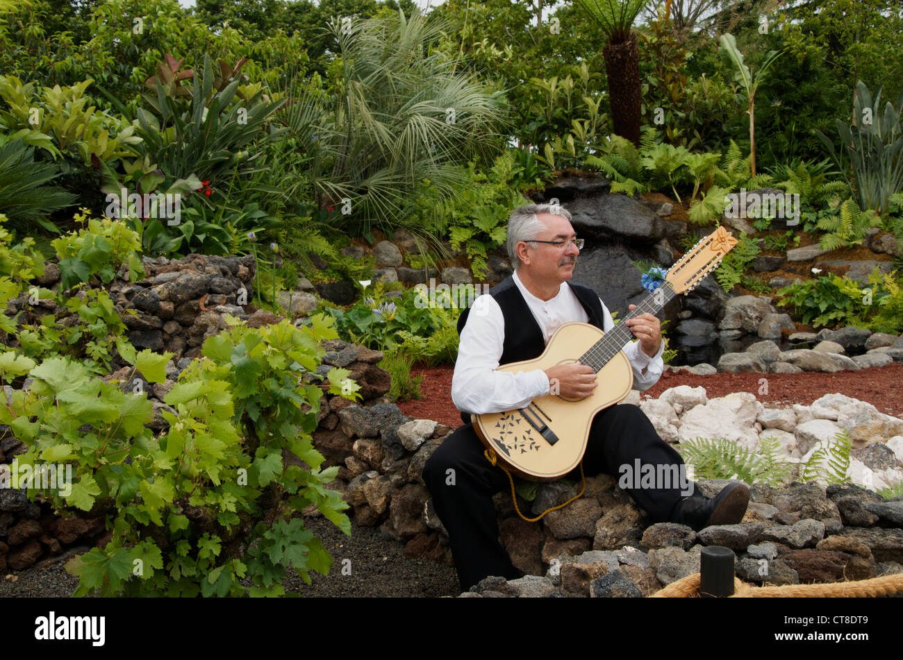 Traditional musician with a guitar in the Azorean garden at Hampton ...