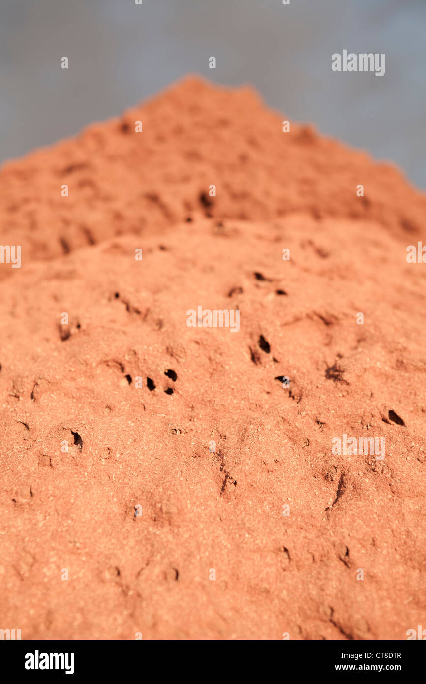 Termite hills hi-res stock photography and images - Alamy