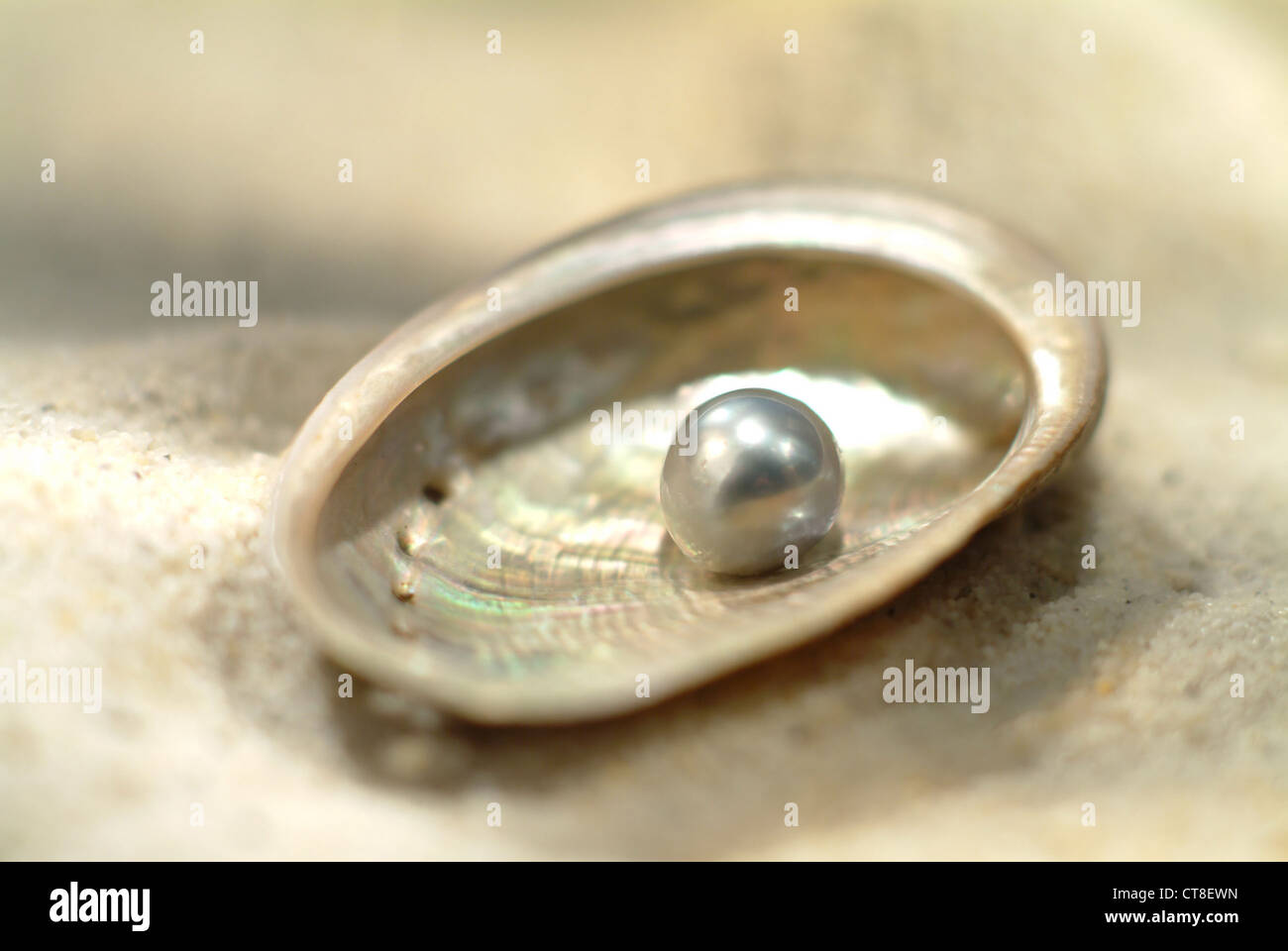 Shell pearl hi-res stock photography and images - Alamy