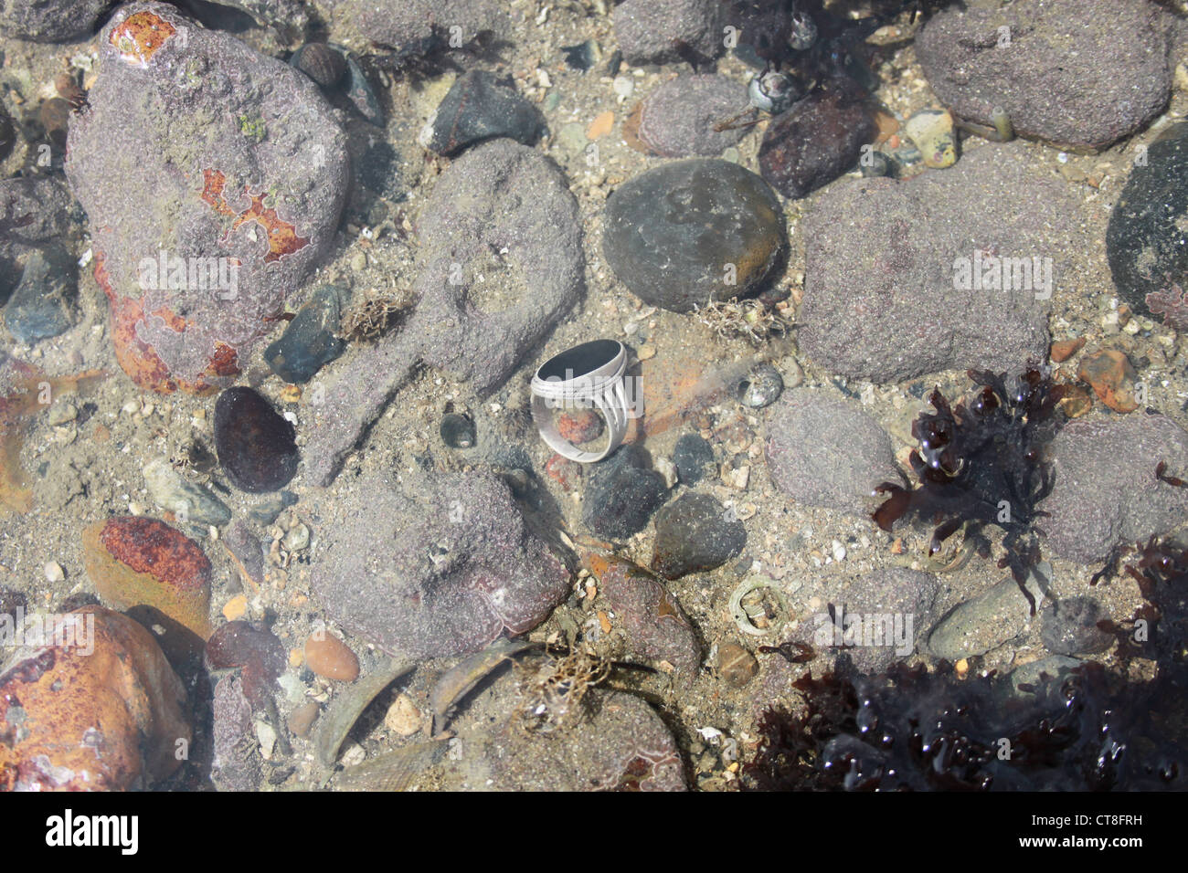 Rock at the ring hi-res stock photography and images - Alamy