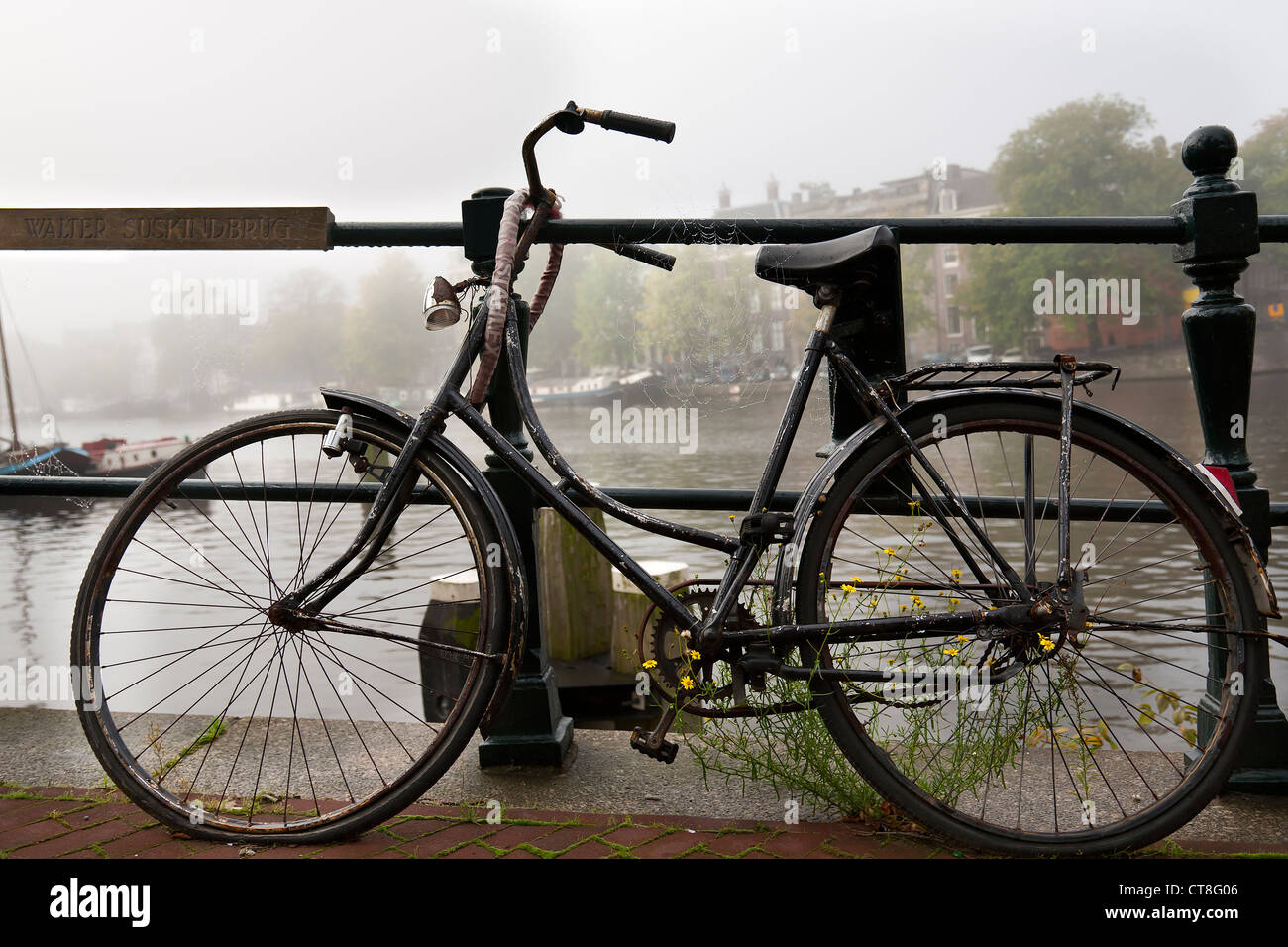 Rusty abandoned bicycle in Amsterdam, Netherlands, covered with a ...