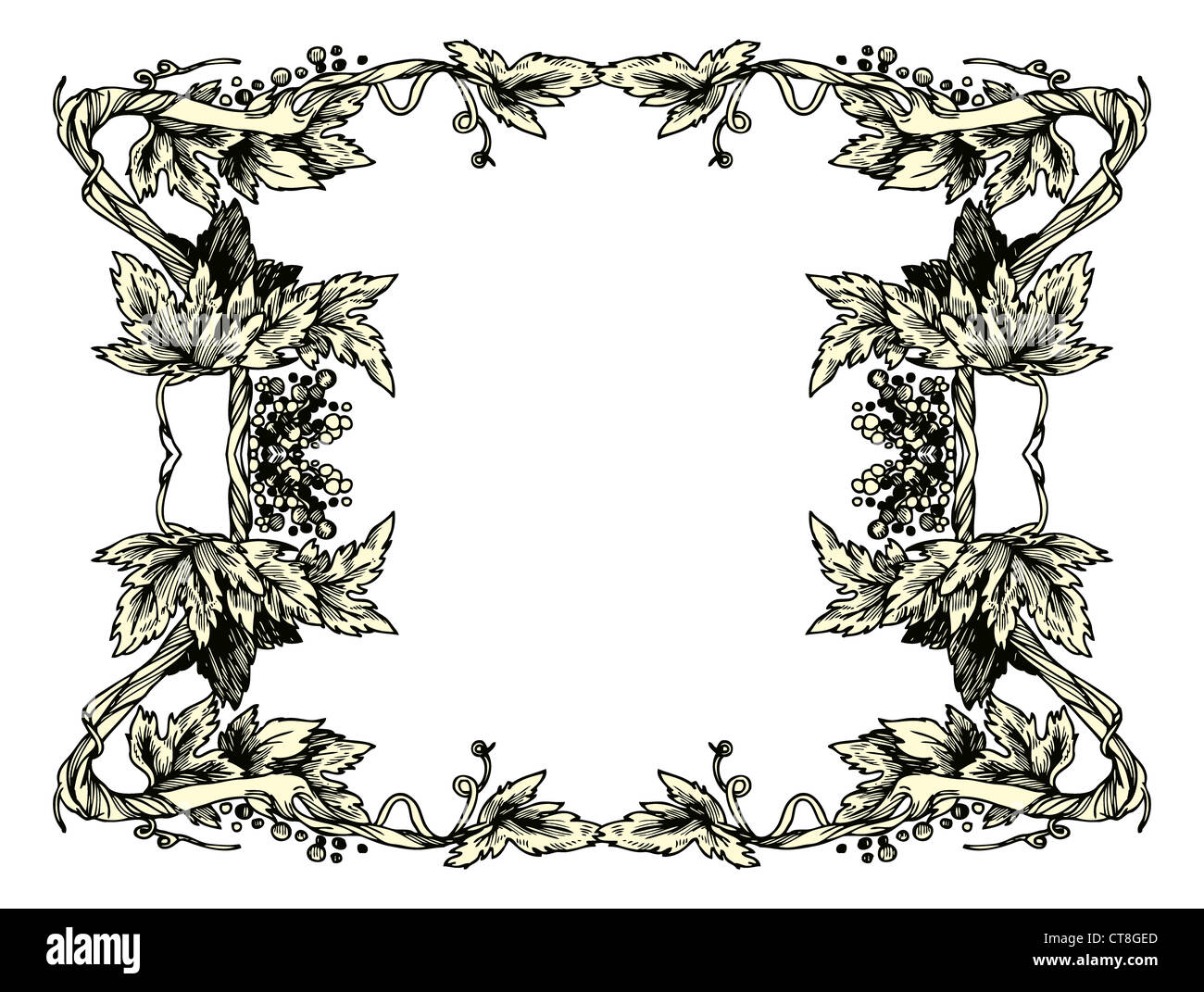 vintage floral frame Stock Photo - Alamy