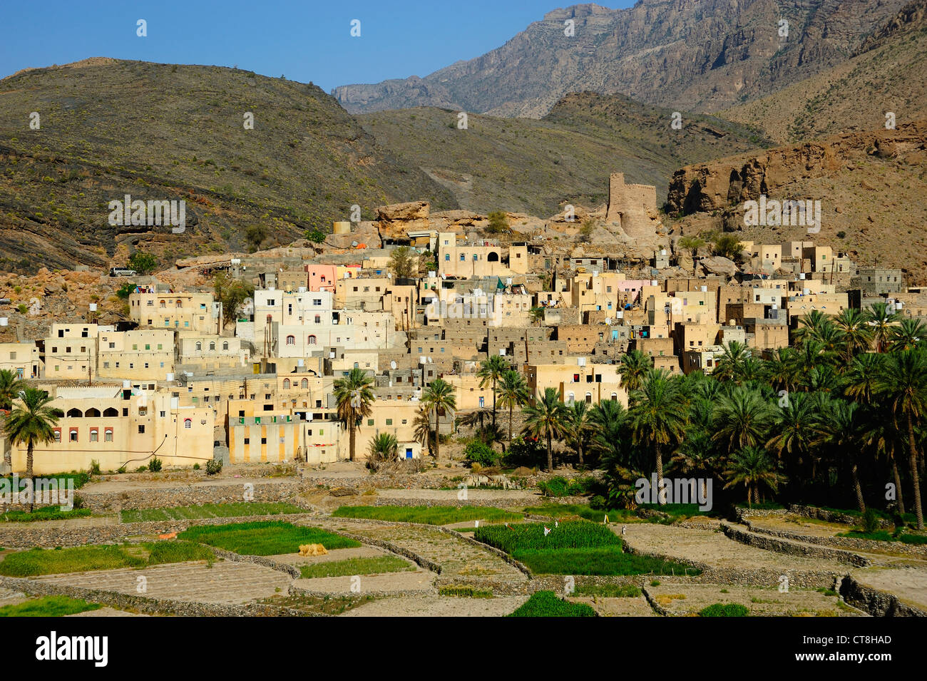 Sayt hi-res stock photography and images - Alamy