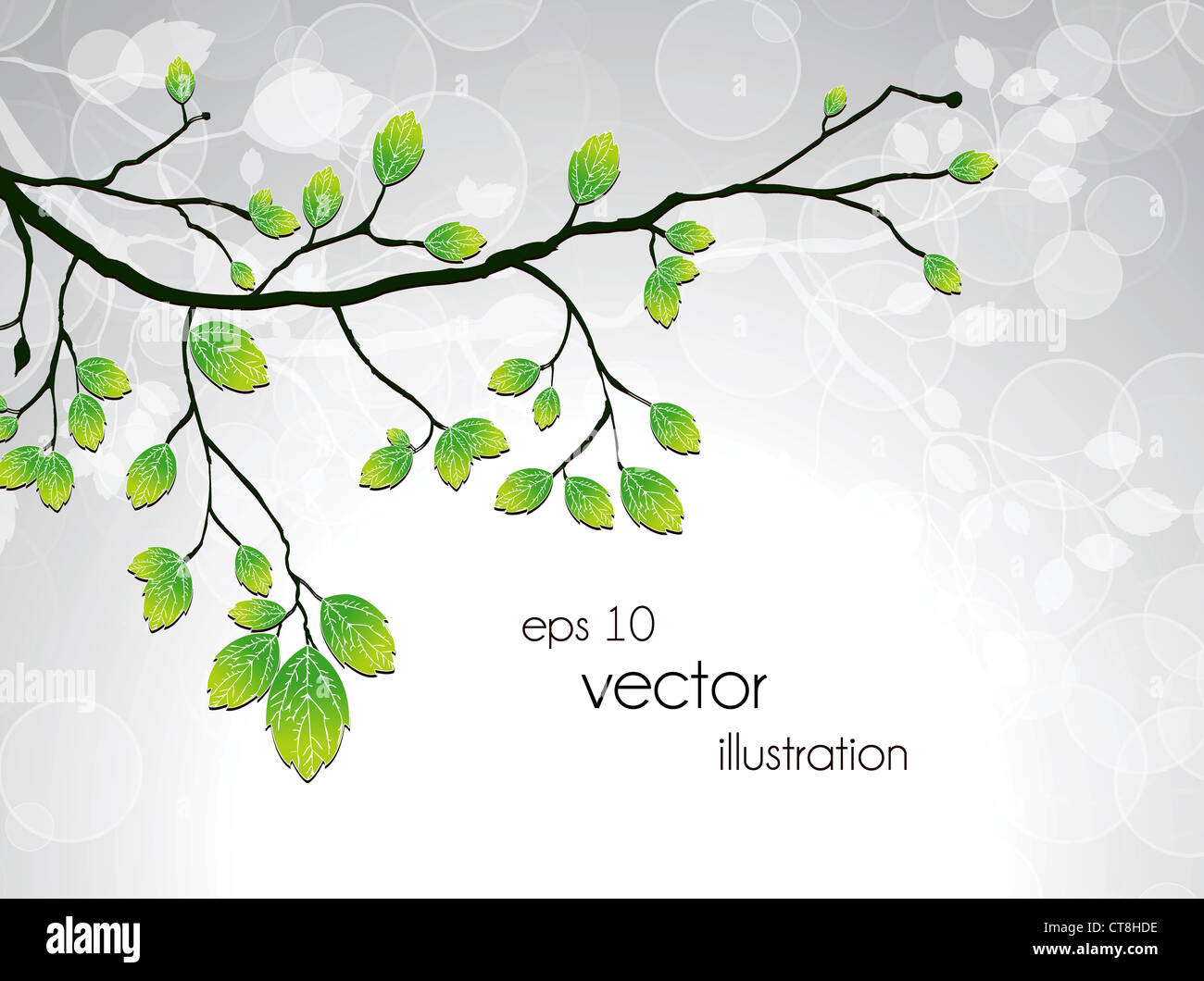 vector green branch with circles Stock Photo - Alamy