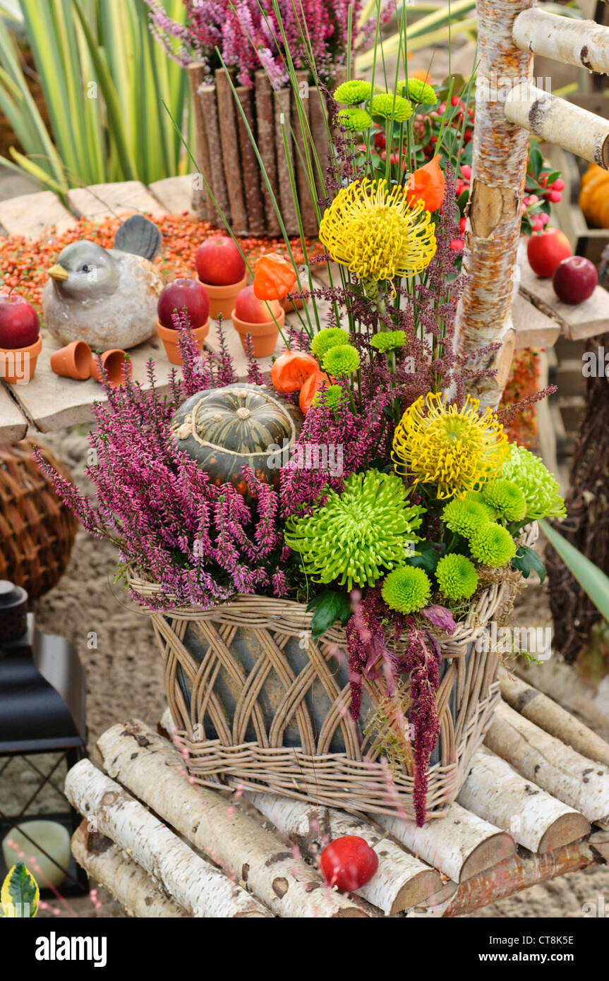 Heather food plant hi-res stock photography and images - Alamy