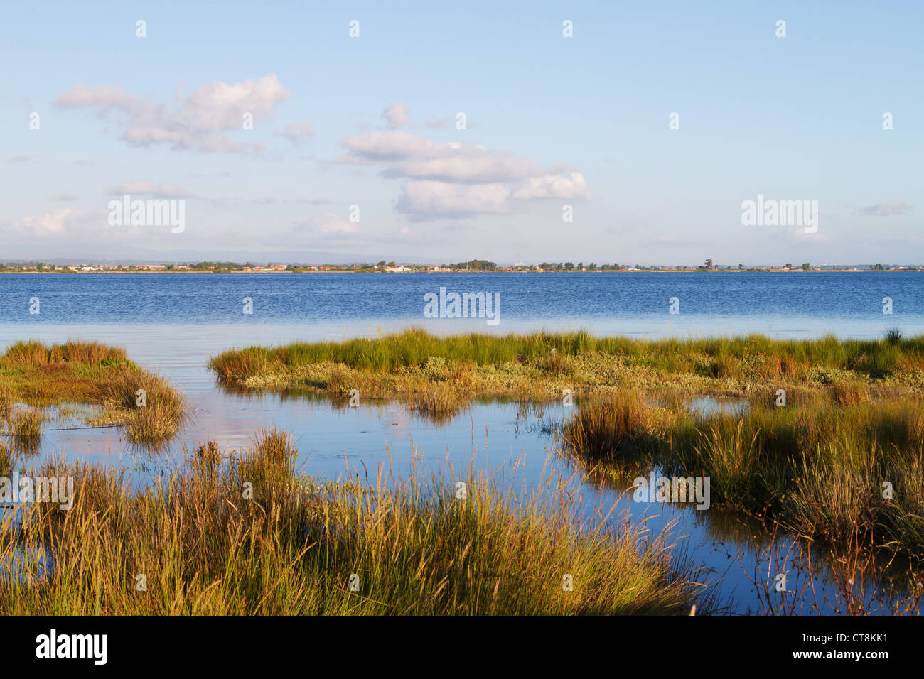 Riverside on Aveiro during sunset against landscape Stock Photo - Alamy