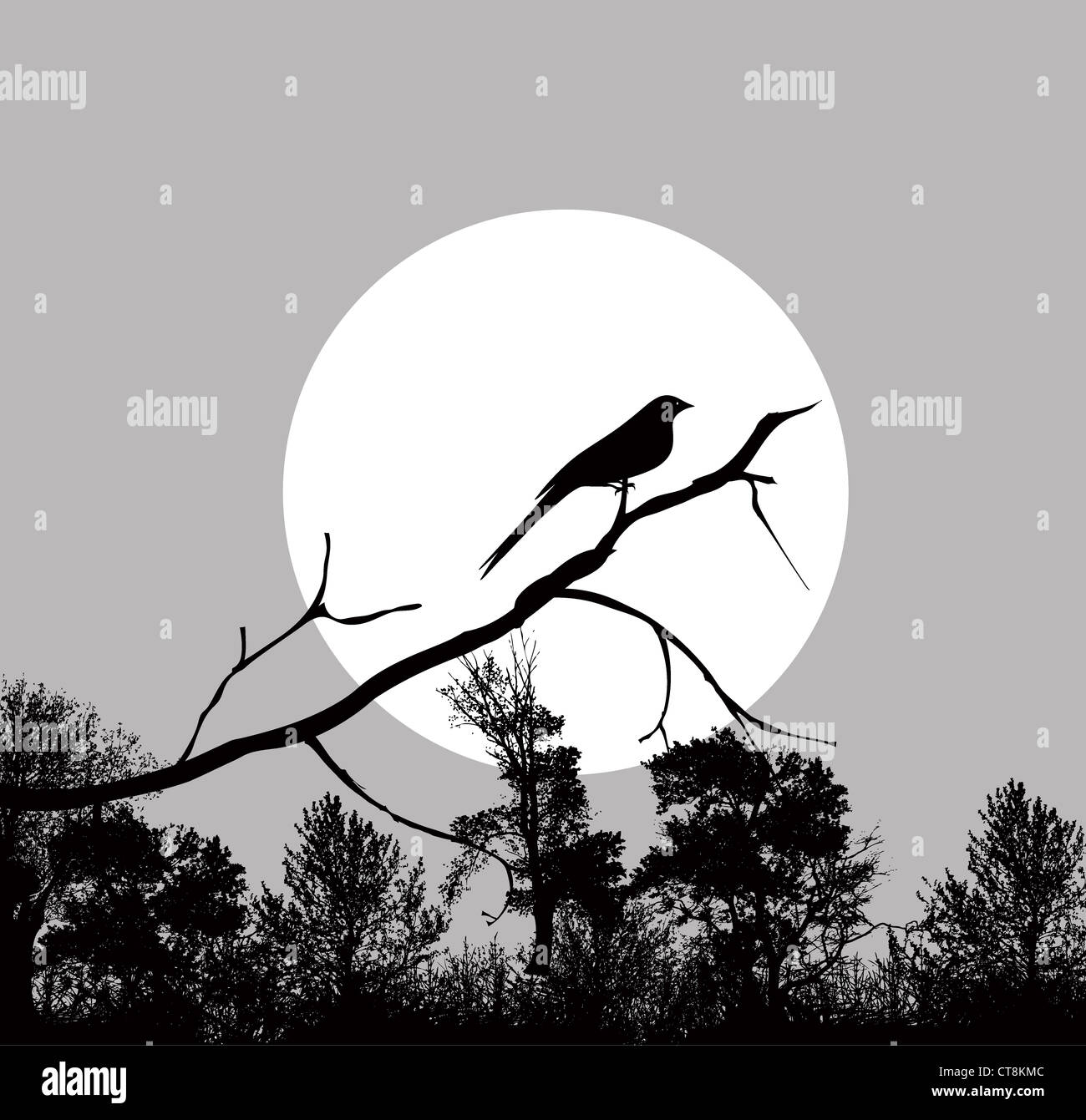 vector bird on a branch Stock Photo - Alamy