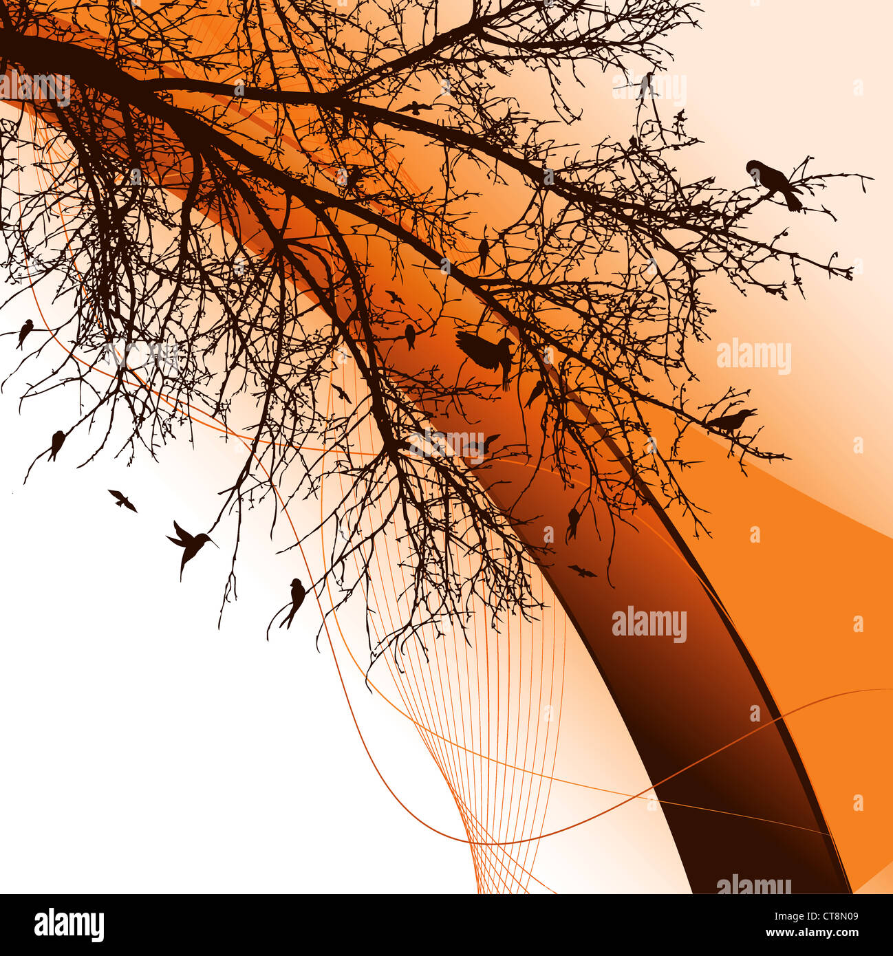 vector abstract background with birds Stock Photo - Alamy