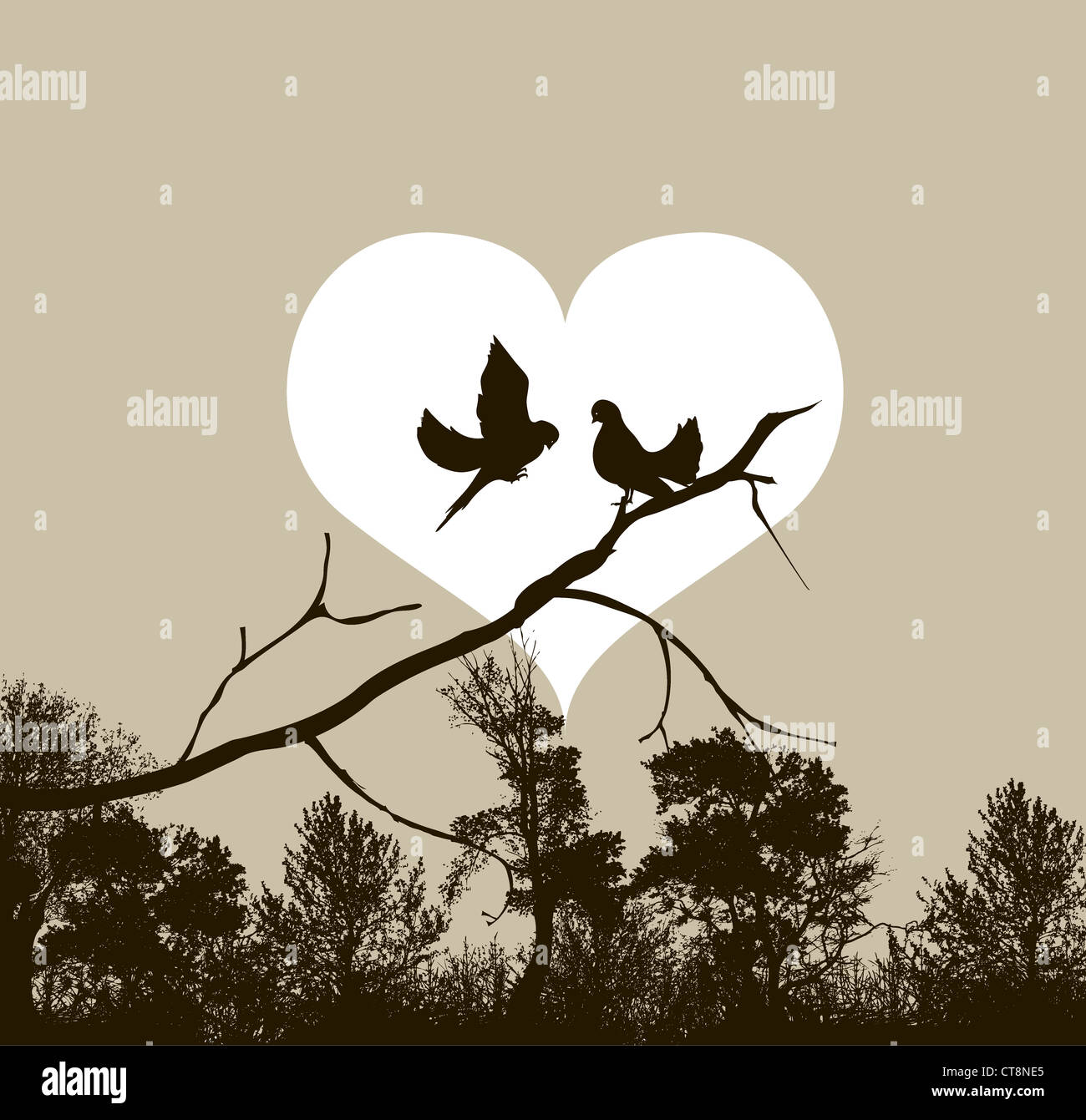 love birds vector illustration Stock Photo - Alamy