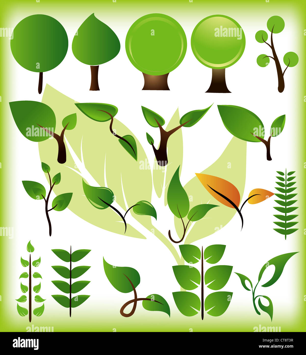 floral elements for design with lots of leaves Stock Photo - Alamy