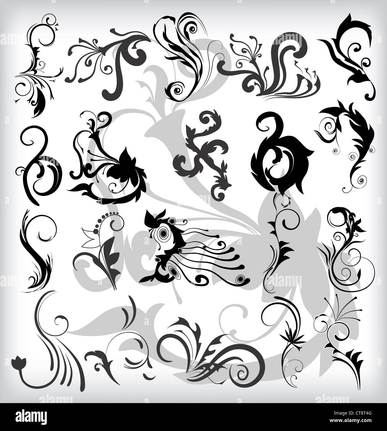 floral elements for design with lots of leaves Stock Photo - Alamy