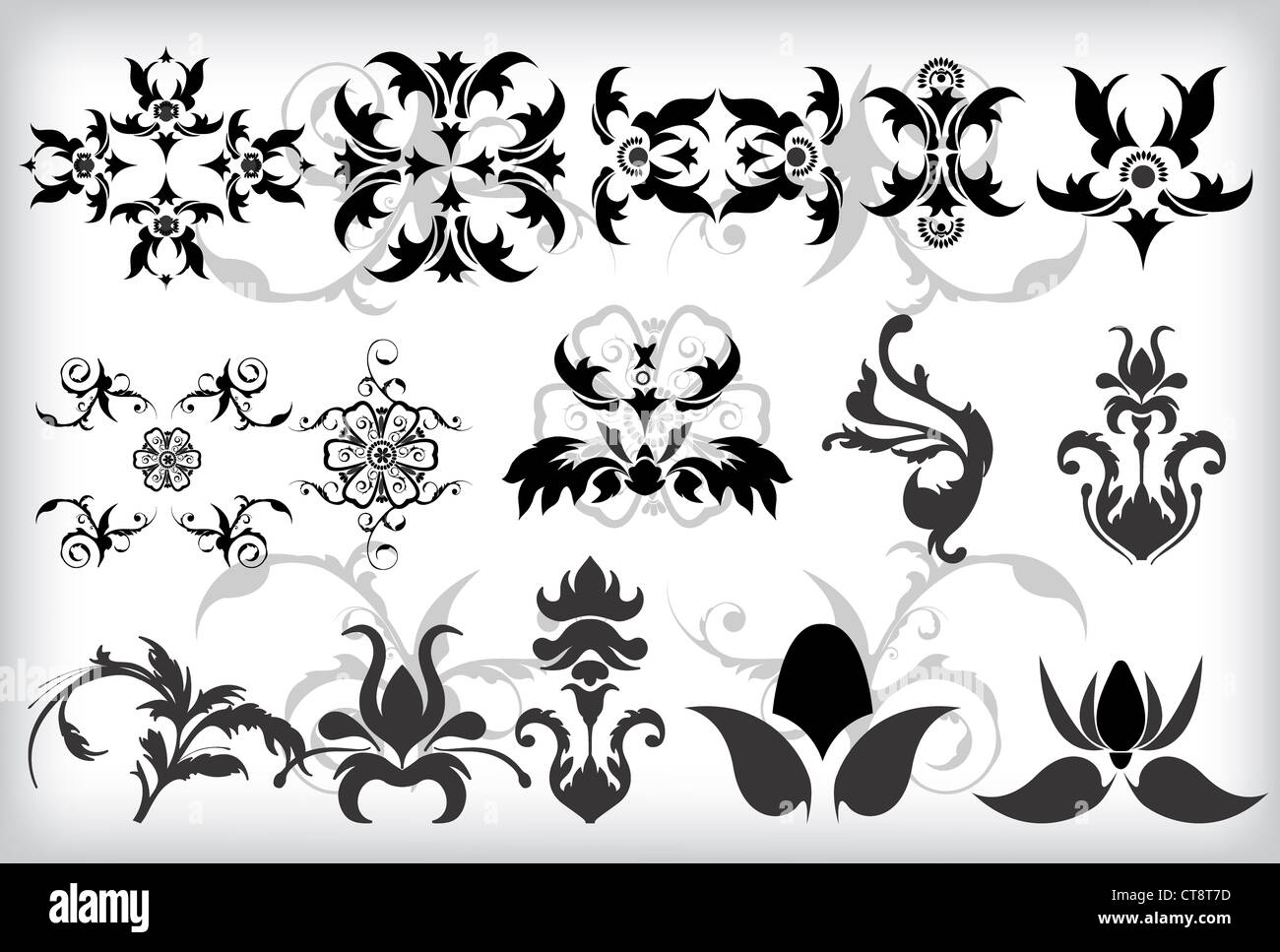 floral elements for design with lots of leaves Stock Photo - Alamy