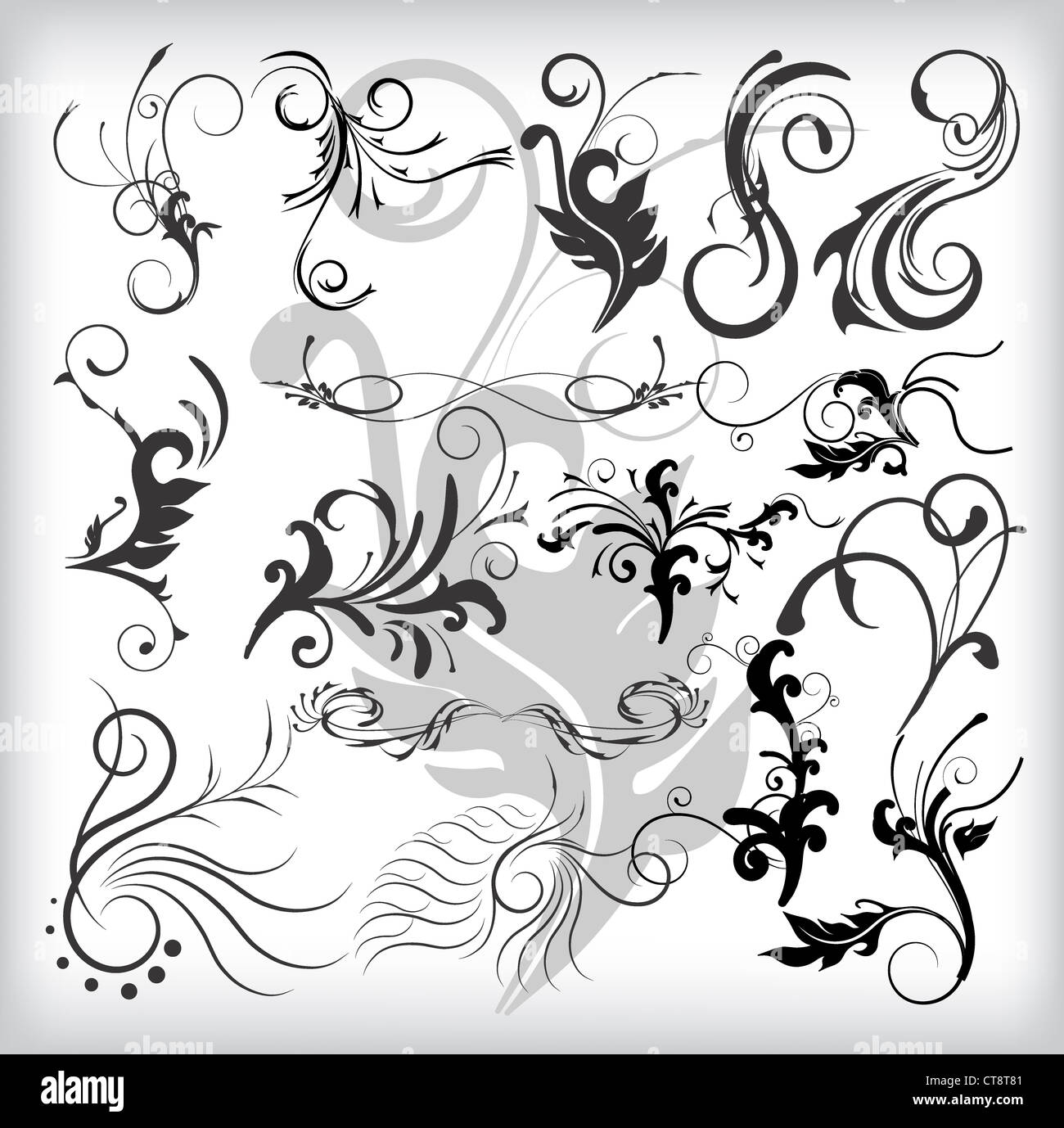floral elements for design with lots of leaves Stock Photo - Alamy