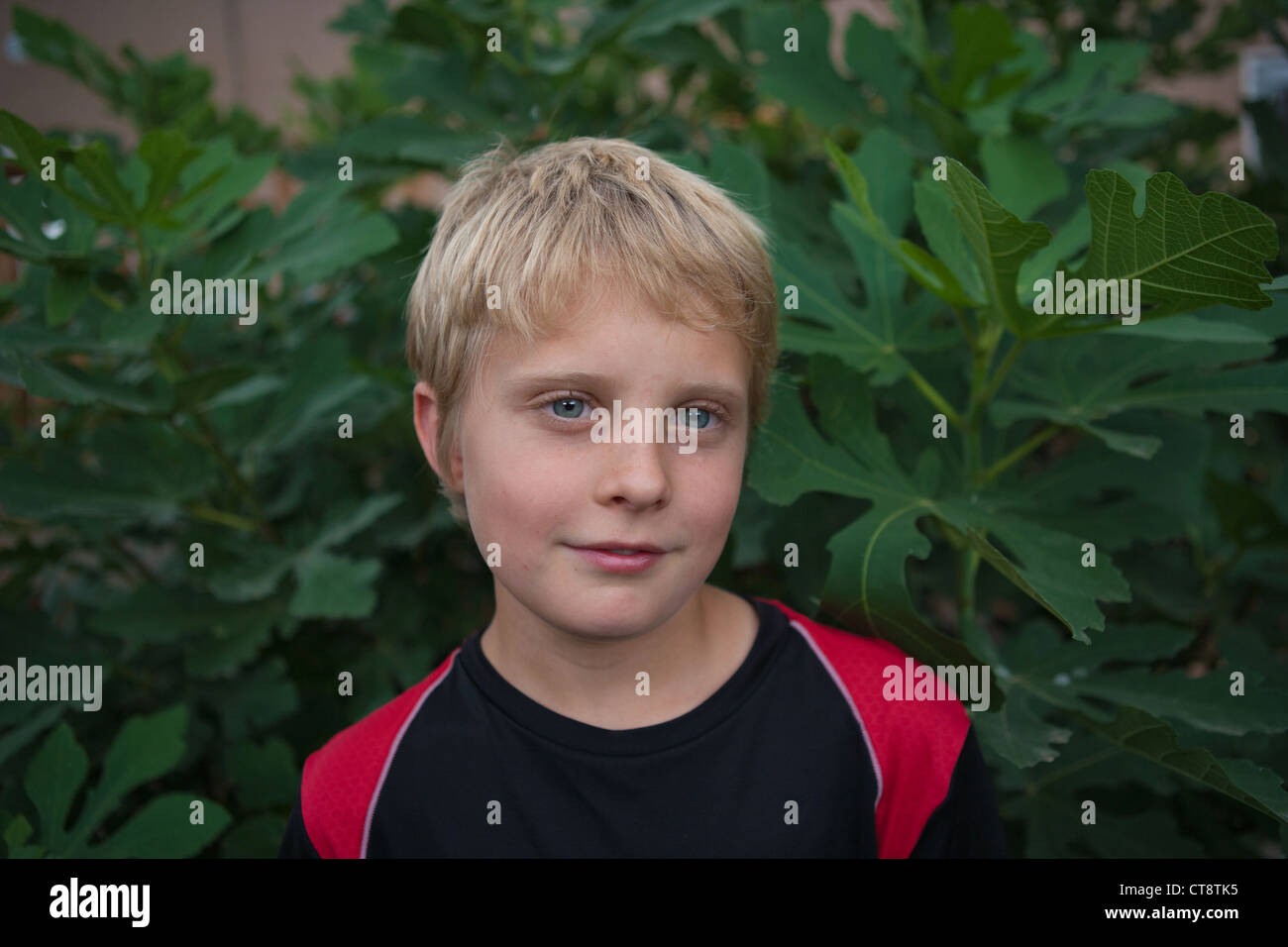 Shy ten year old boy standing in front of a fig tree and smiling at ...