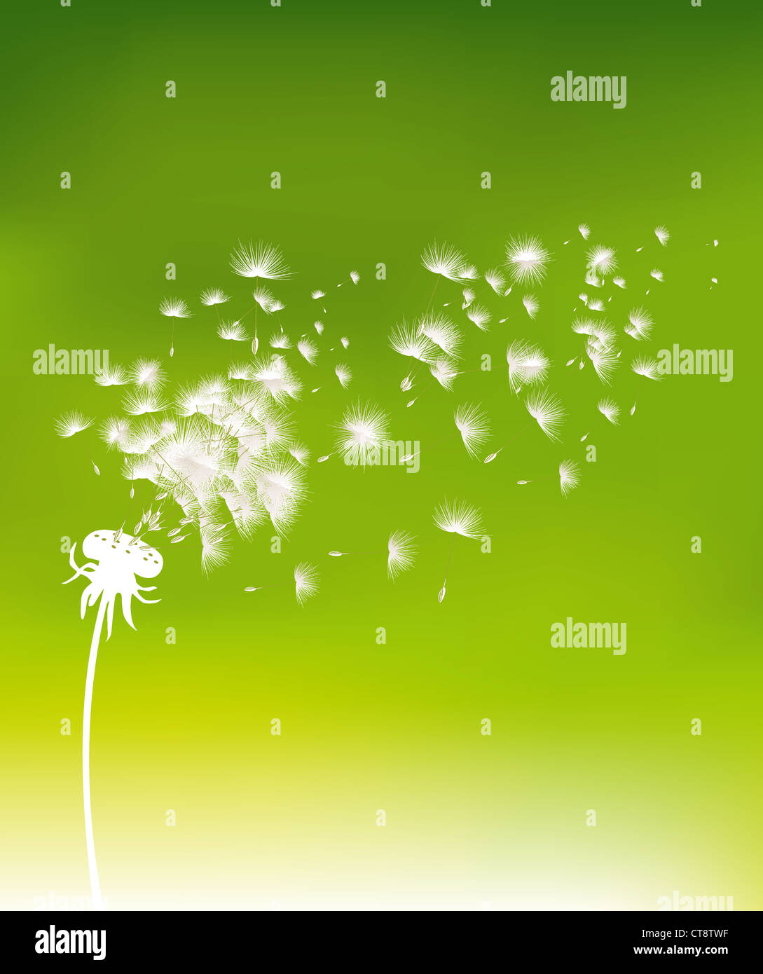 vector spring background with dandelion Stock Photo - Alamy