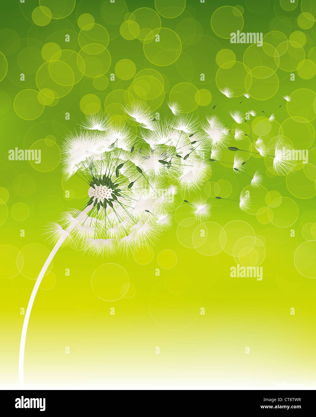 vector spring background with dandelion Stock Photo - Alamy