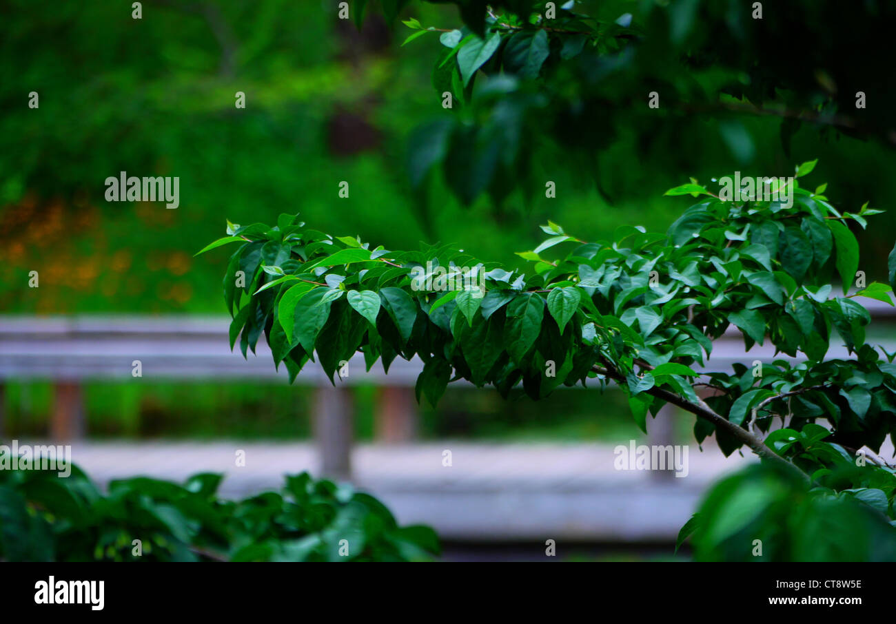 Time for reflection Stock Photo - Alamy