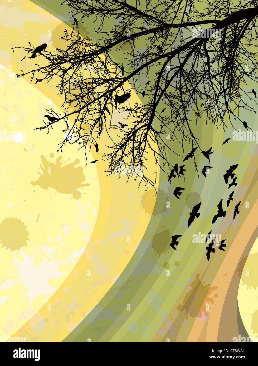 birds on a branch vector illustration Stock Photo - Alamy