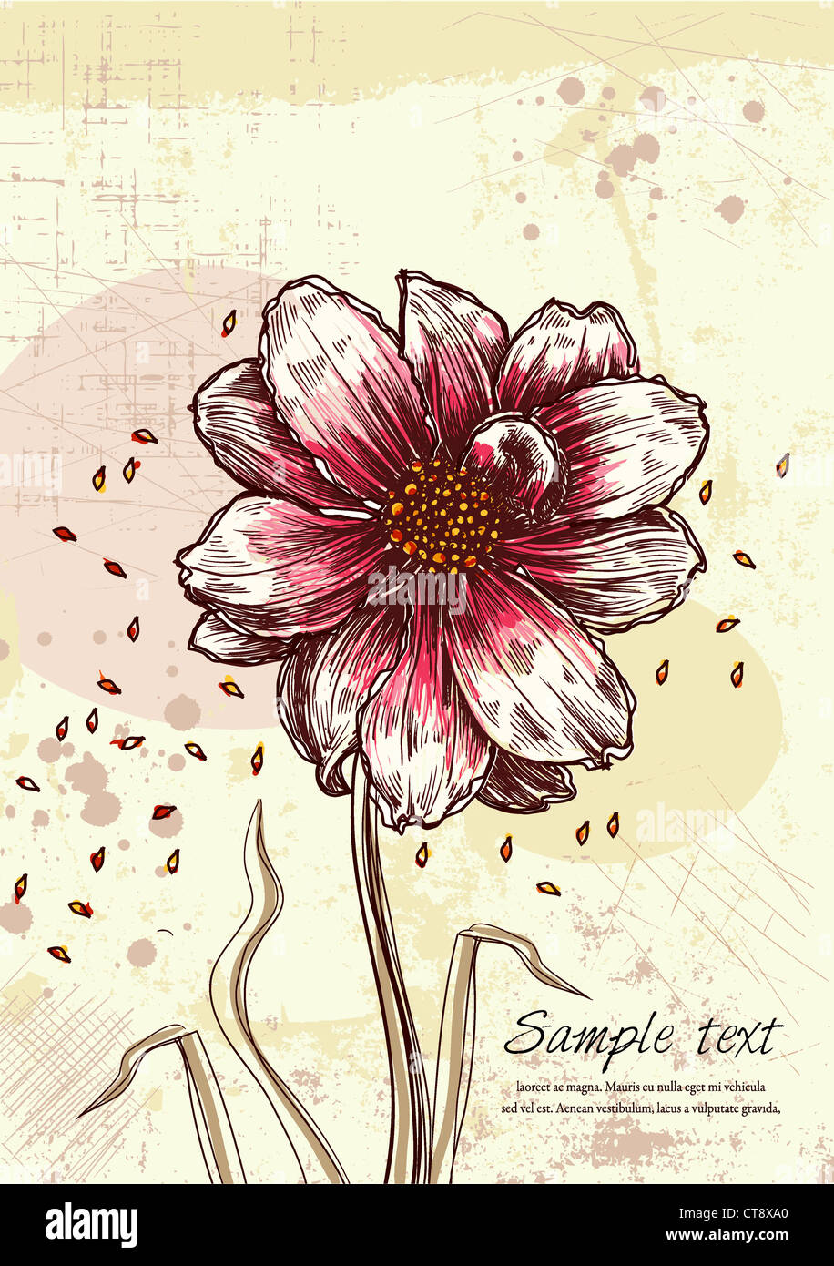 vector colorful floral background Stock Photo - Alamy