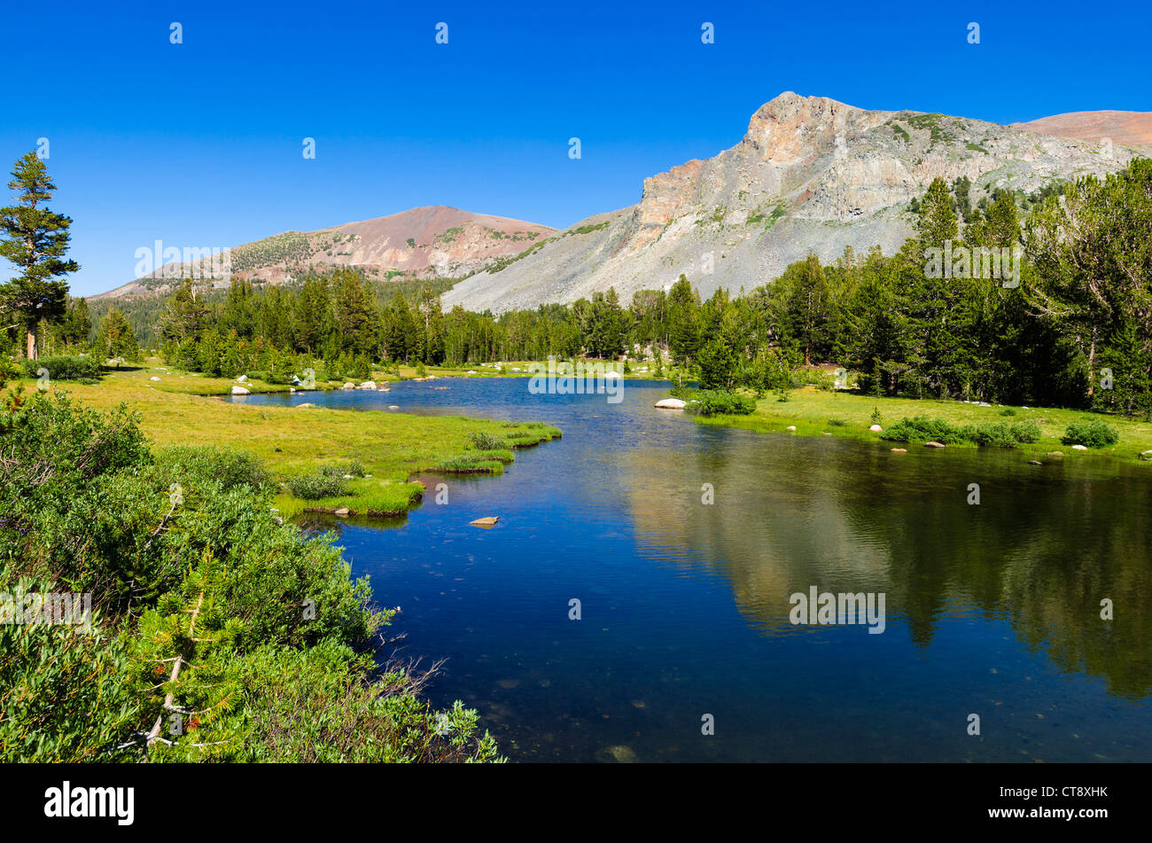 Alpine tarn in Dana Meadows under Mount Dana,Tuolumne Meadows, Yosemite ...