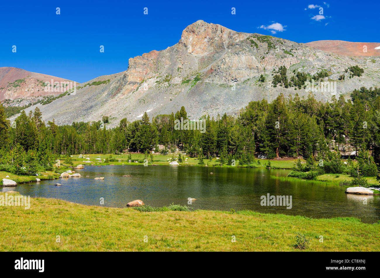 Alpine tarn in Dana Meadows under Mount Dana,Tuolumne Meadows, Yosemite ...