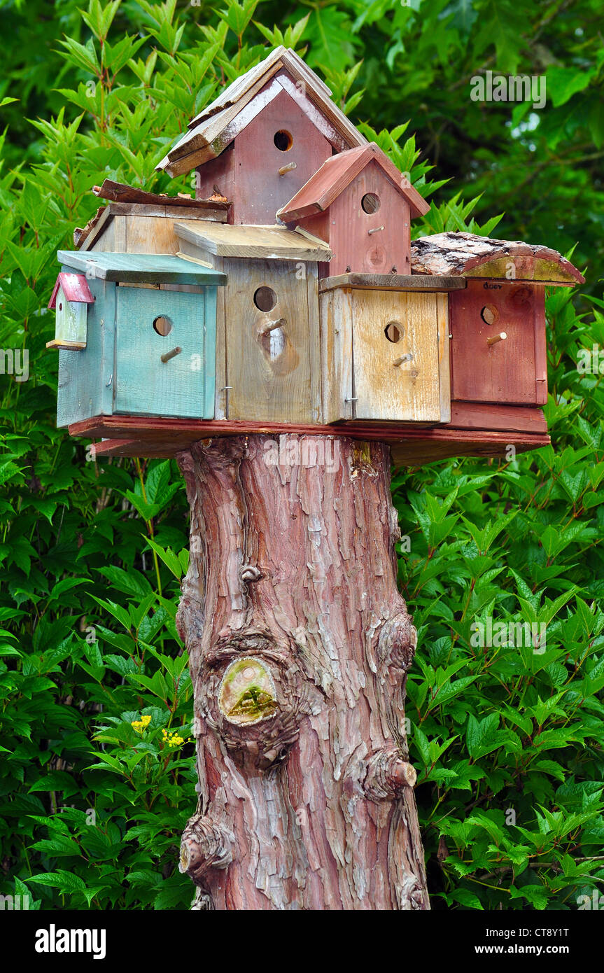 Stacked Bird Houses On Tree Stump Premium Photo | Multi Storey Bird