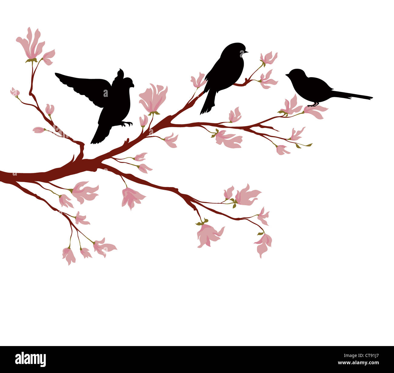 vector birds on branch Stock Photo - Alamy