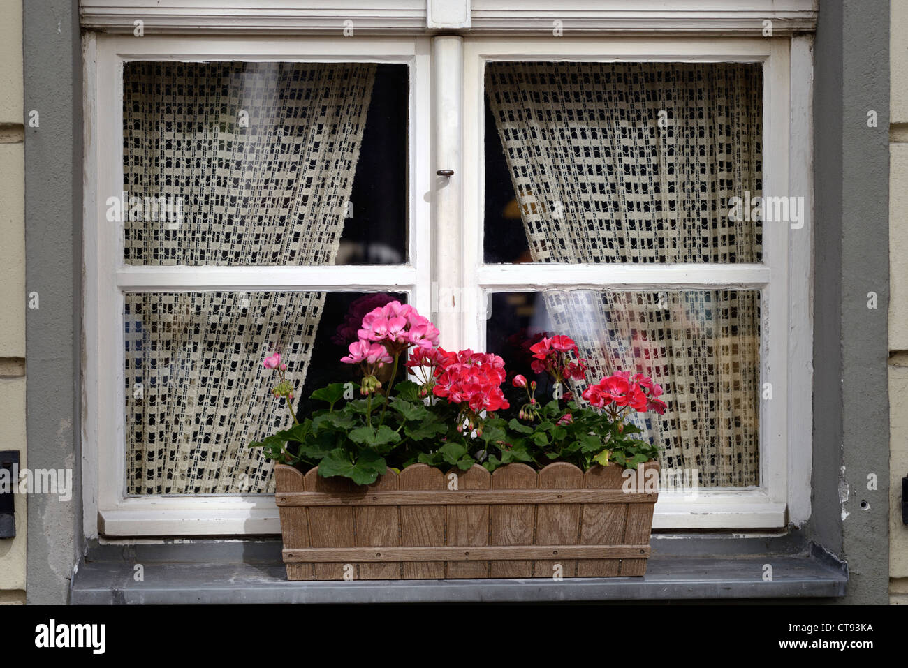 Window box in Nikolaiviertel, Berlin Stock Photo - Alamy