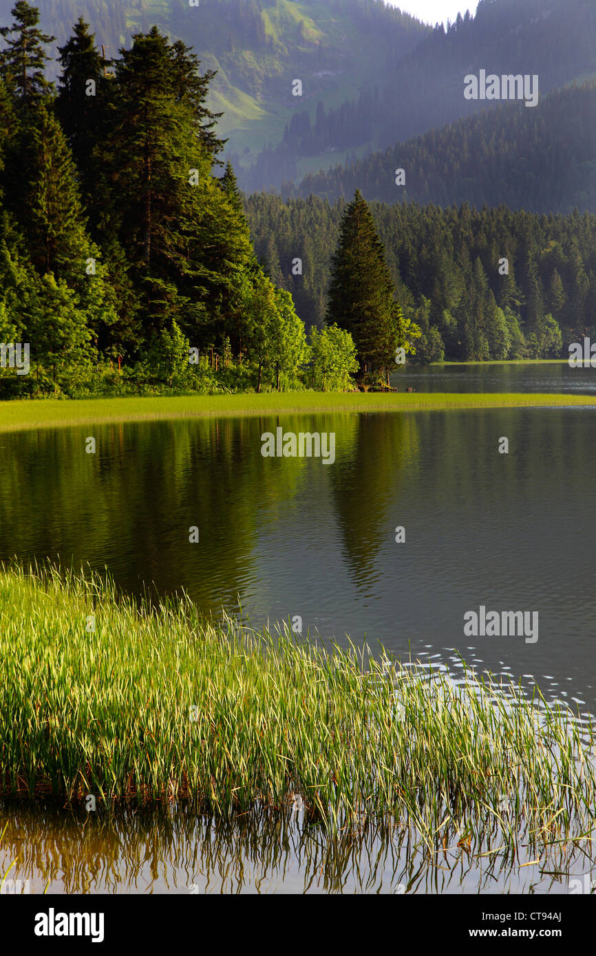 Spitzingsee lake. An alpine lake in the Bavarian alps Stock Photo - Alamy