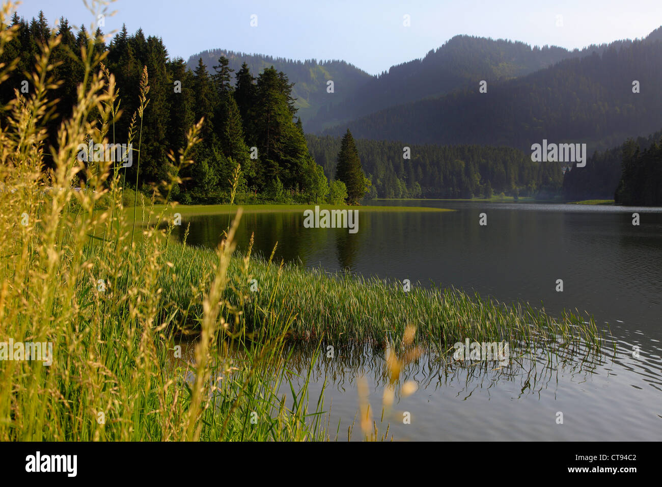 Spitzingsee lake. An alpine lake in the Bavarian alps Stock Photo - Alamy