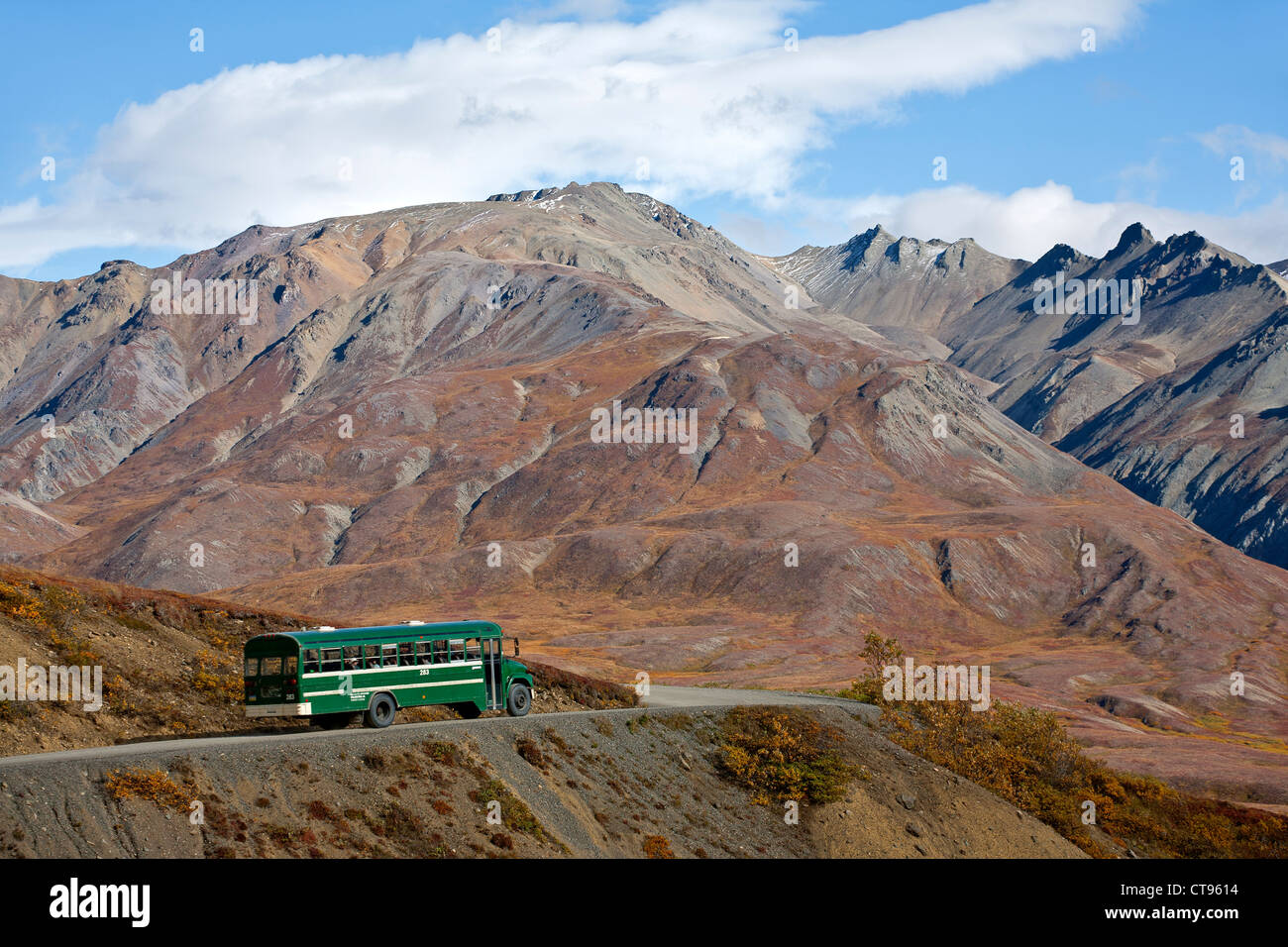 Shuttle bus. Denali National Park. Alaska. USA Stock Photo - Alamy