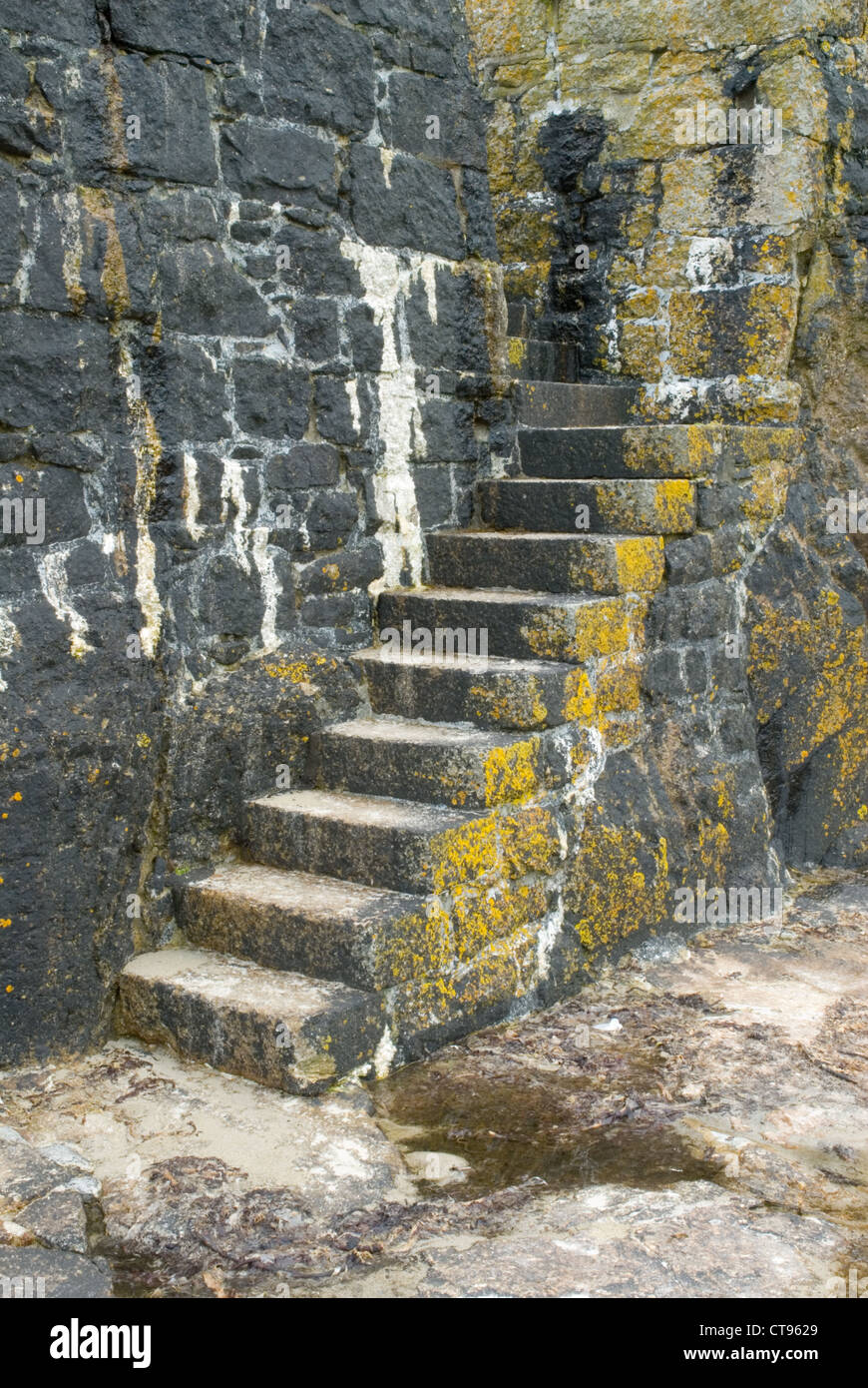 Sea wall steps at Lamorna Cove, Cornwall, England, UK Stock Photo - Alamy