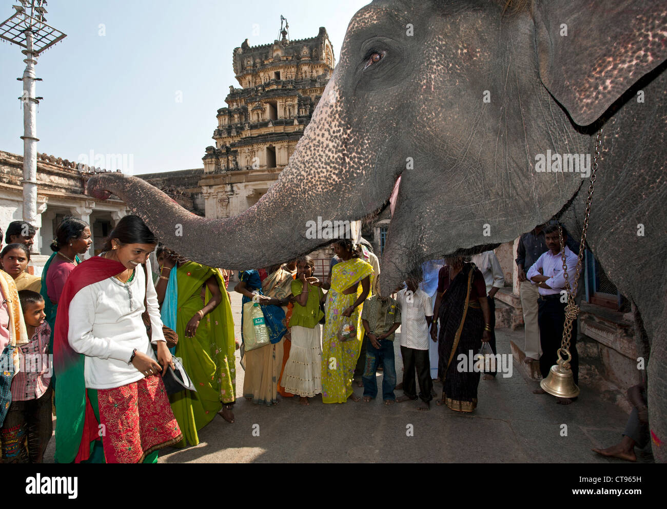 Elephant blessing a woman (hindu ritual). Virupaksha temple. Hampi ...