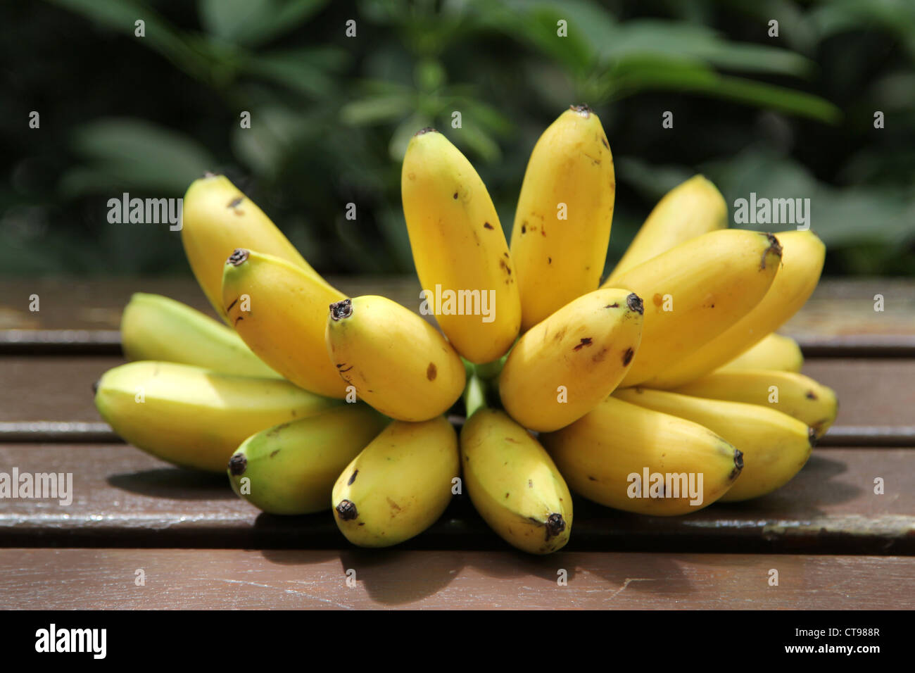 Closeup image of fresh yellow banana Stock Photo - Alamy