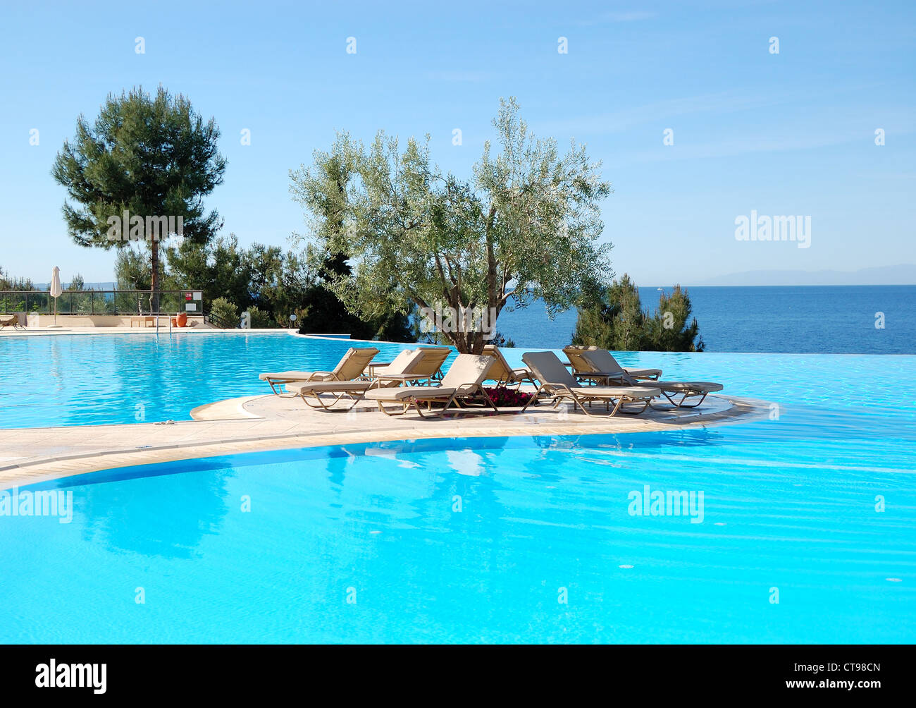 Infinity swimming pool with olive tree in the middle at the modern ...