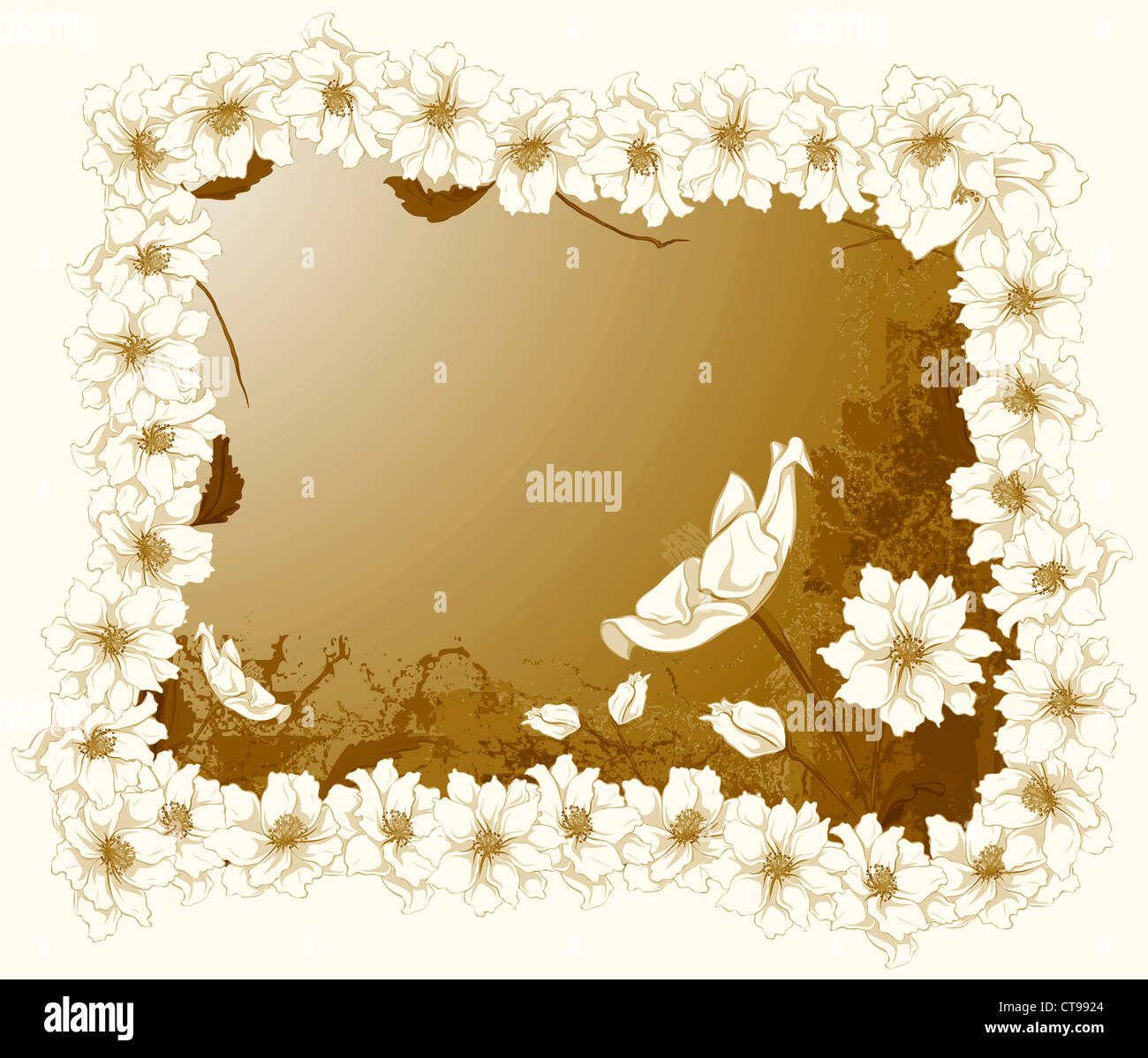 vector vintage floral frame Stock Photo - Alamy