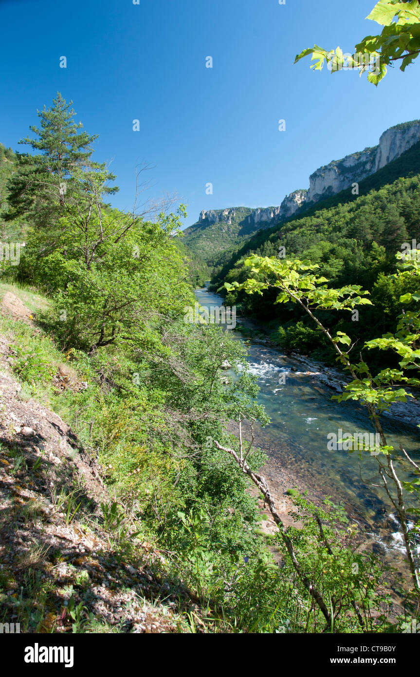 Tarn Valley France High Resolution Stock Photography and Images - Alamy
