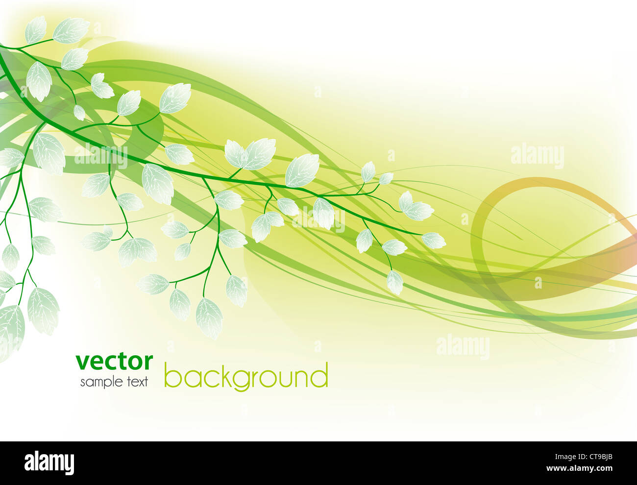 vector spring floral background Stock Photo - Alamy